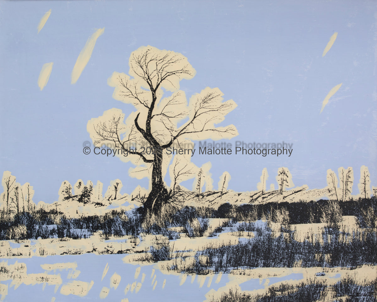 Her Majesty – Winthrop Gallery