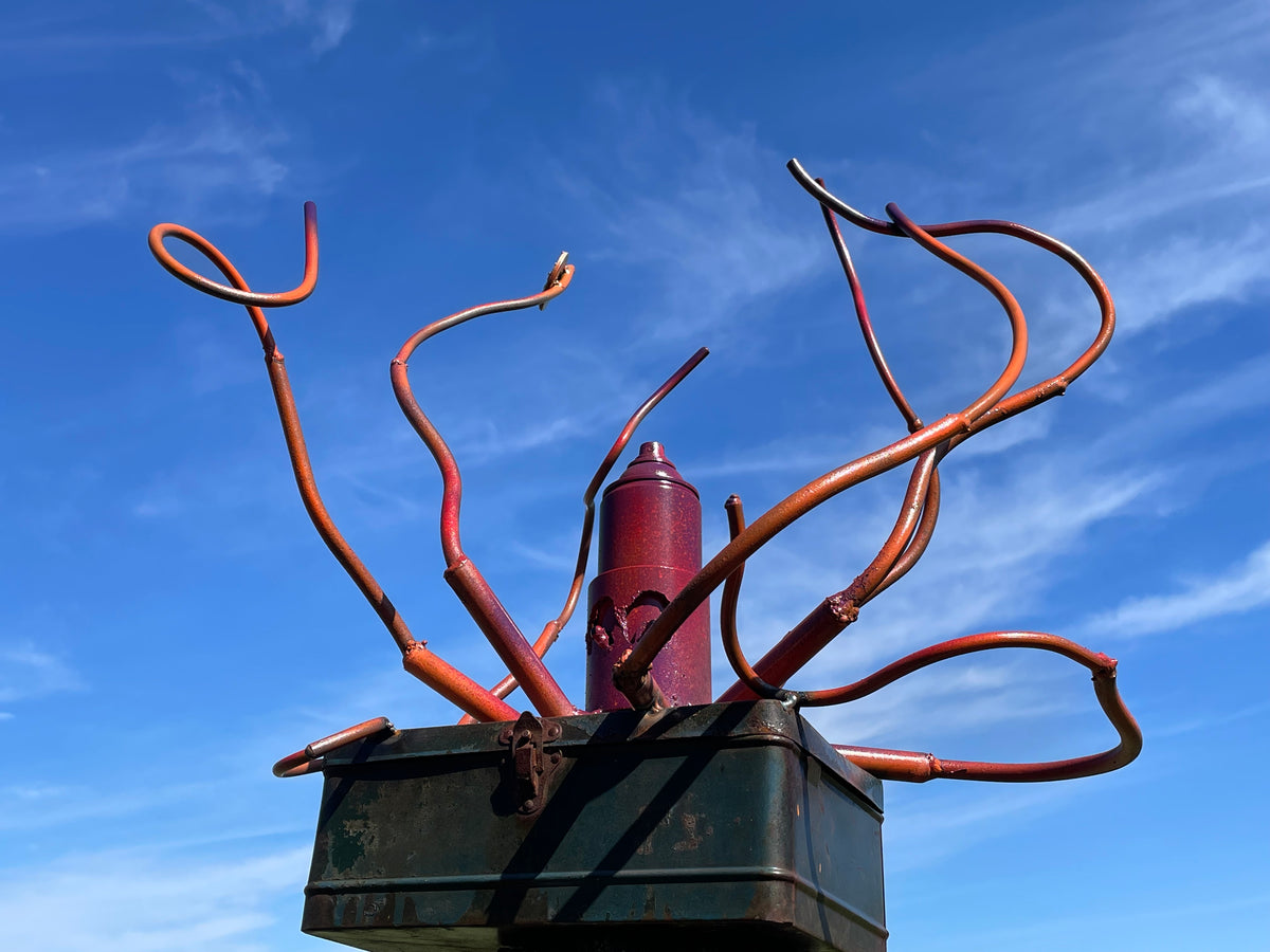 Dan Brown – Winthrop Gallery