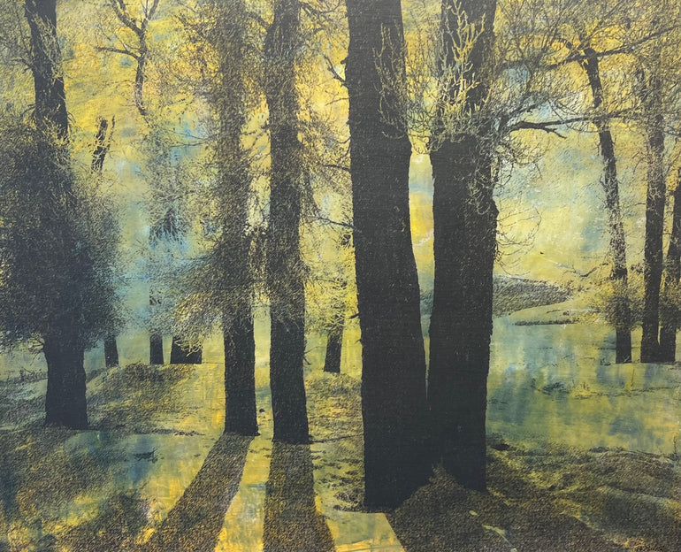 The Winthrop Gallery