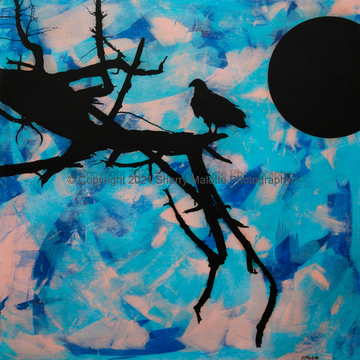 Shadow Moon – Winthrop Gallery