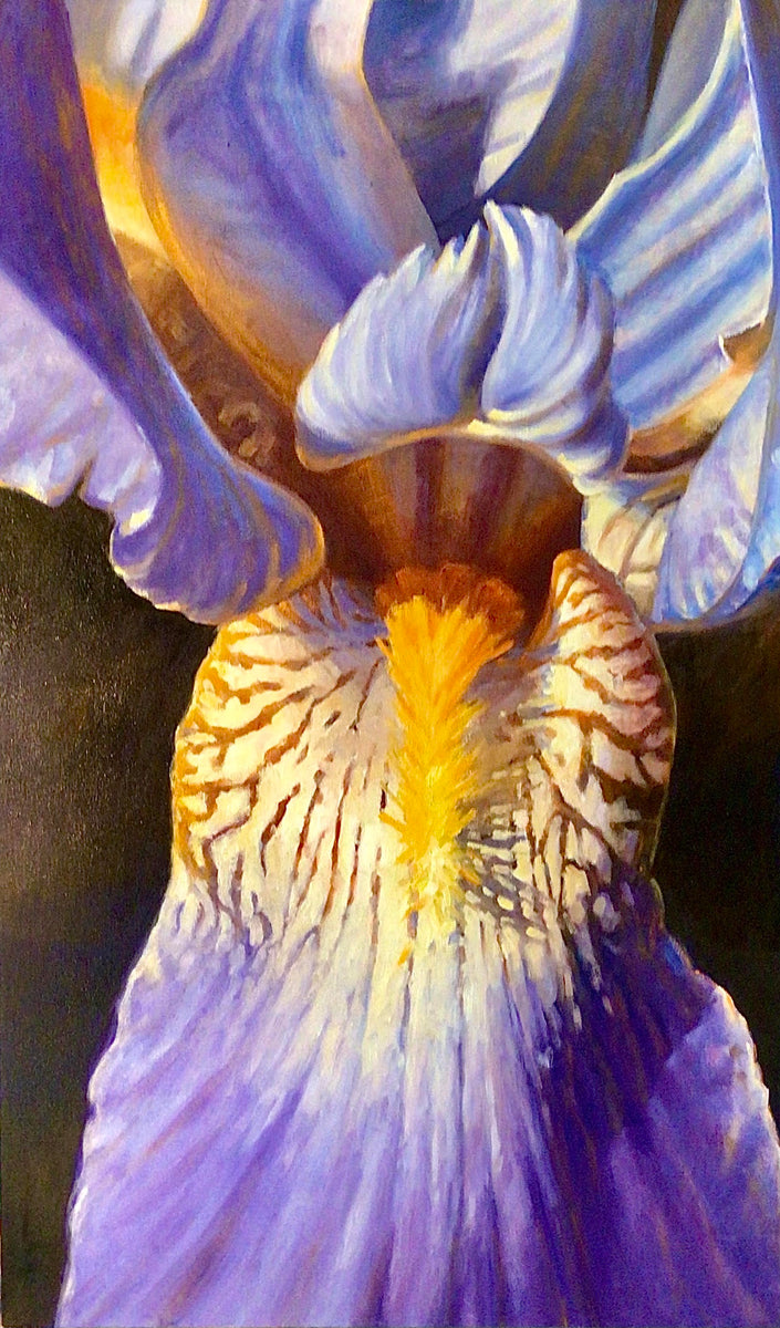 Iris Flight – Winthrop Gallery